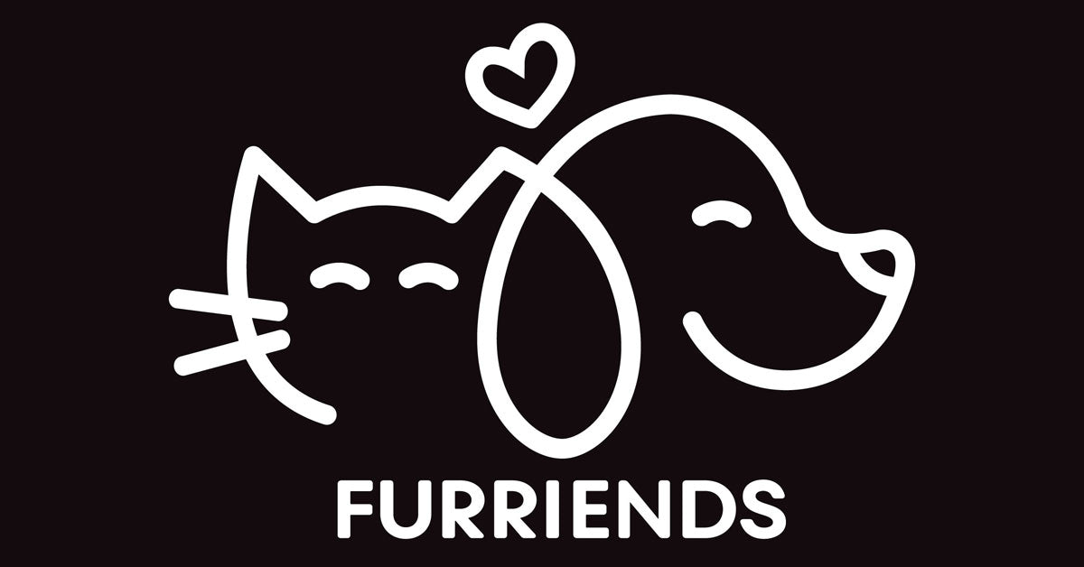 Schnauzer Christmas Edition T-Shirts & Other Festive Gifts – Furriends