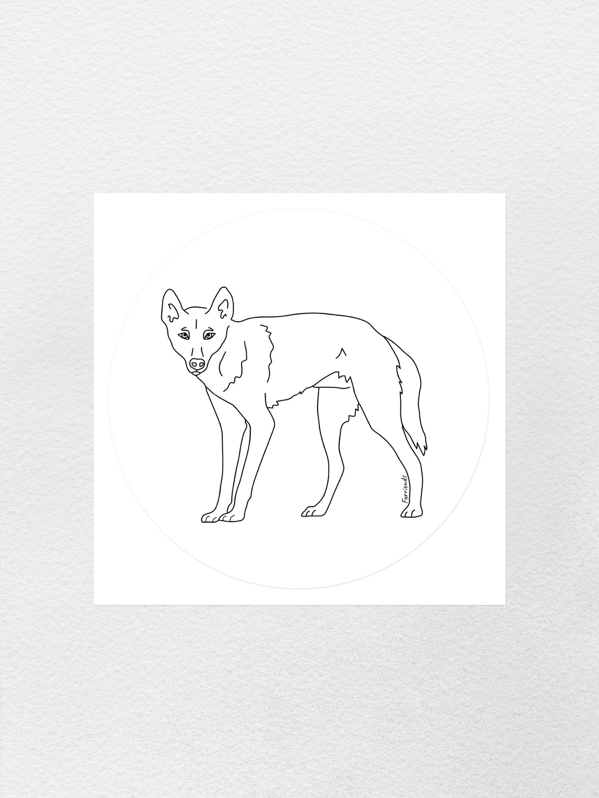 Dingo Sticker | Furriends Australia